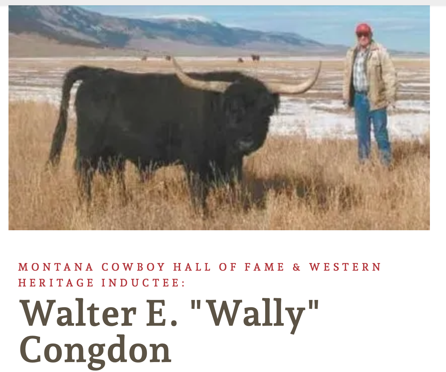 A Field Of Schemes In Wally World – Zoom Chron Blog