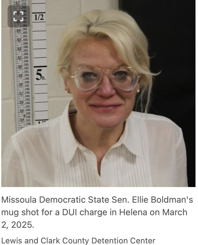 Can Local Bars Survive The Temporary Loss Of Ellie Boldman, State ...